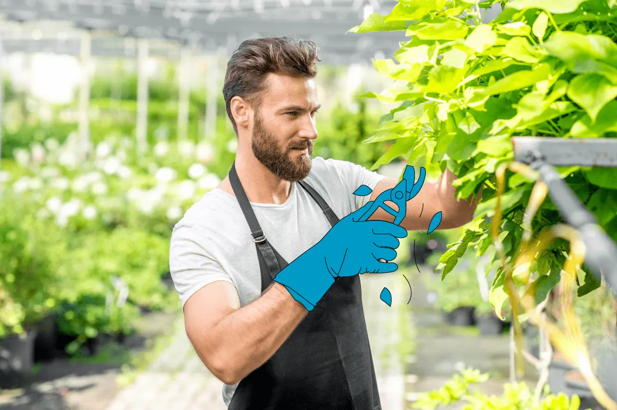 Handyhand