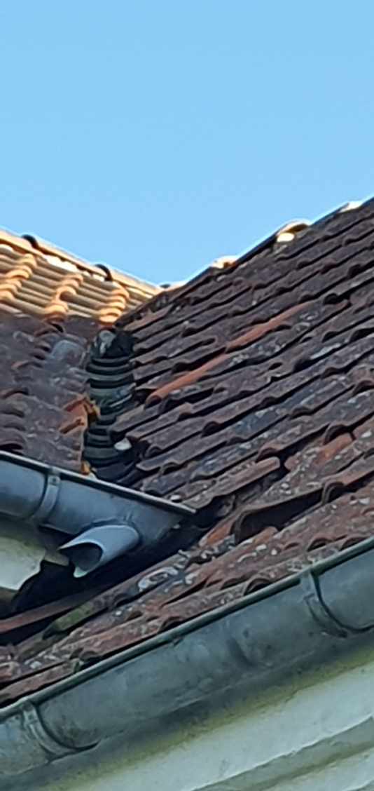 Hvad koster reparation af skotrender og tagsten? - Handyhand