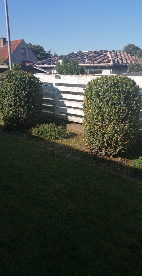 Få lamelhegn 1,8 m sat op inkl. materialer, støbte stolper, nedtagning ...