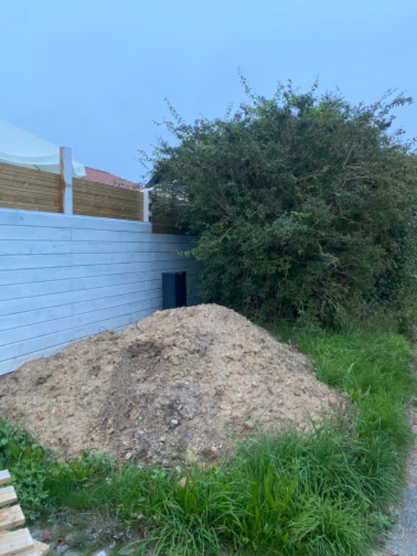 Hvad koster beskæring af træer og buske? Priser fra 2000 kr - Handyhand