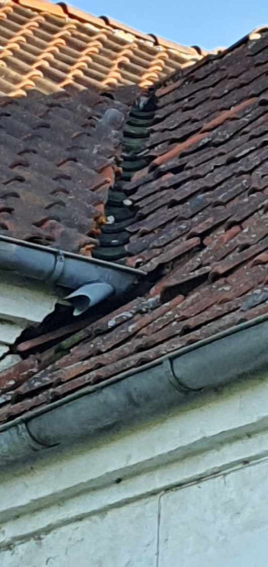 Hvad koster reparation af skotrender og tagsten? - Handyhand